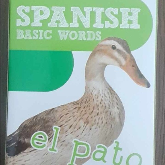 Other | Spanish Basic Words Flashcards New | Poshmark